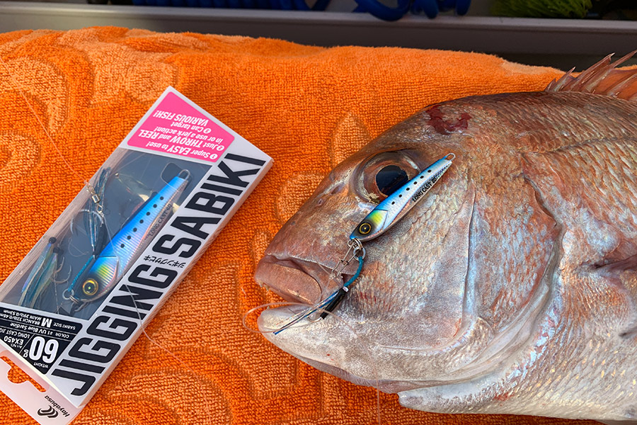 Hayabusa Long Cast Sabiki Jig Review - The Fishing Website