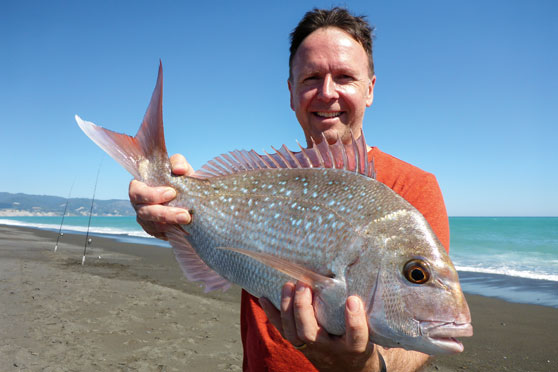 Land based fishing for snapper and kingfish - The Fishing Website