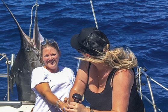 Catching a marlin from a yacht - The Fishing Website