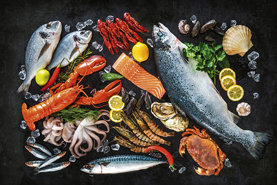 How to Maximise Fish Variety on the Table - The Fishing Website