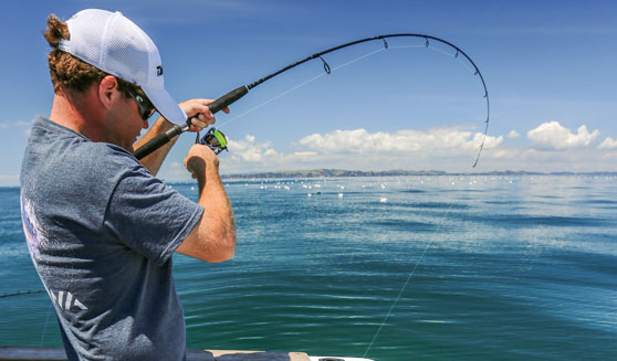 Using sea life to find fish - The Fishing Website