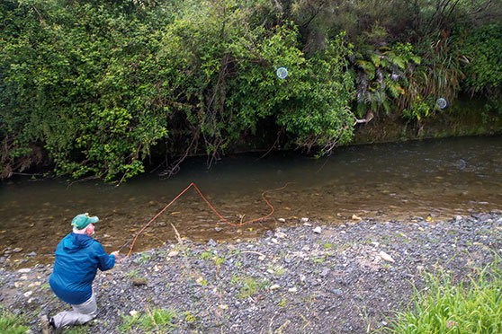 Trout Fishing in Small Streams - The Fishing Website