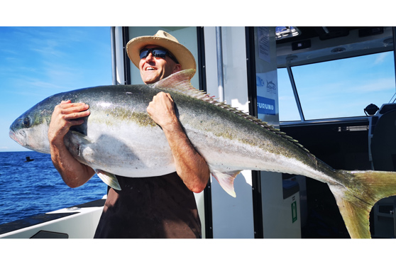 Gulf Kingfish