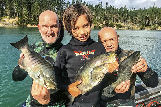 Diving for parore in Tauranga - The Fishing Website