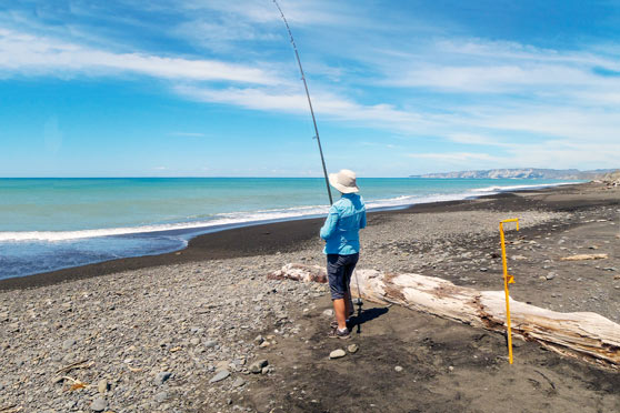 Fishing the 90 Mile beach fishing bonanza - The Fishing Website