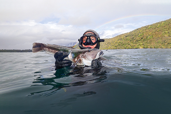 Where to Dive in NZ - The Fishing Website