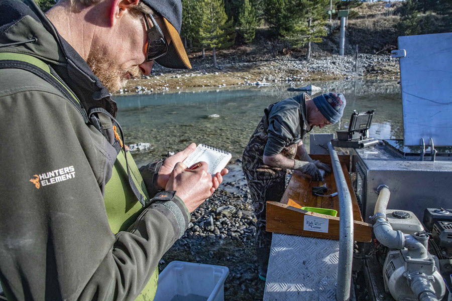 Electric Fishing gives Insights into Freshwater Populations - The ...
