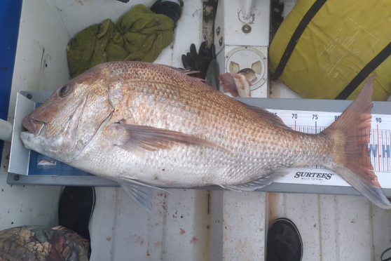 A red-hot month for DB Export NZ Fishing Competition - The Fishing Website