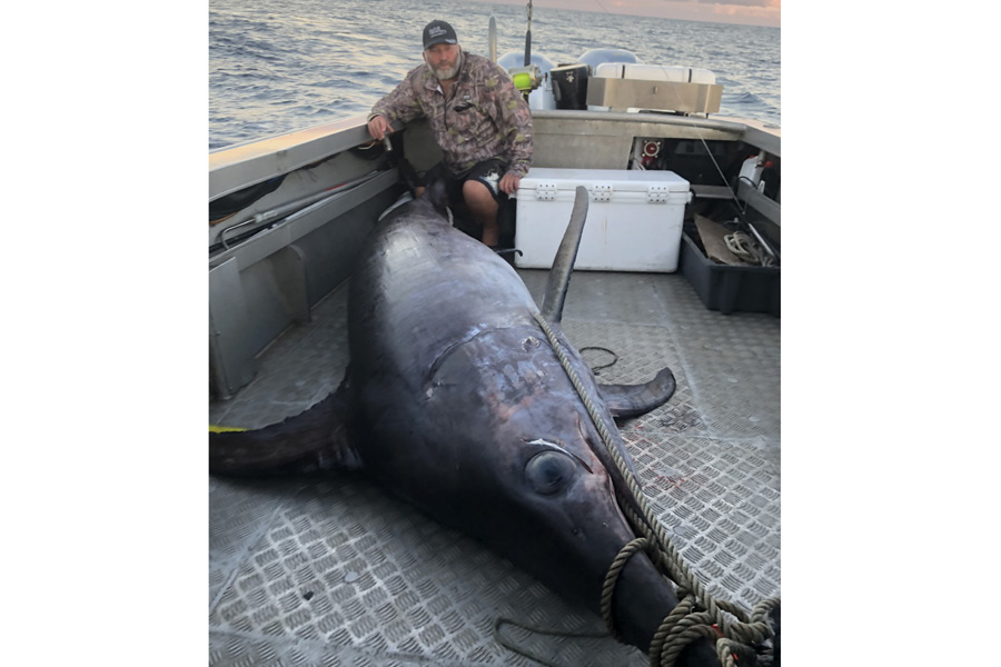 Monster Northland swordfish - The Fishing Website