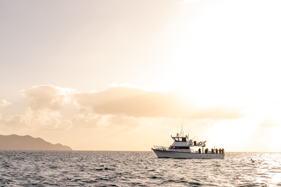 The Three Kings Islands - The Fishing Website