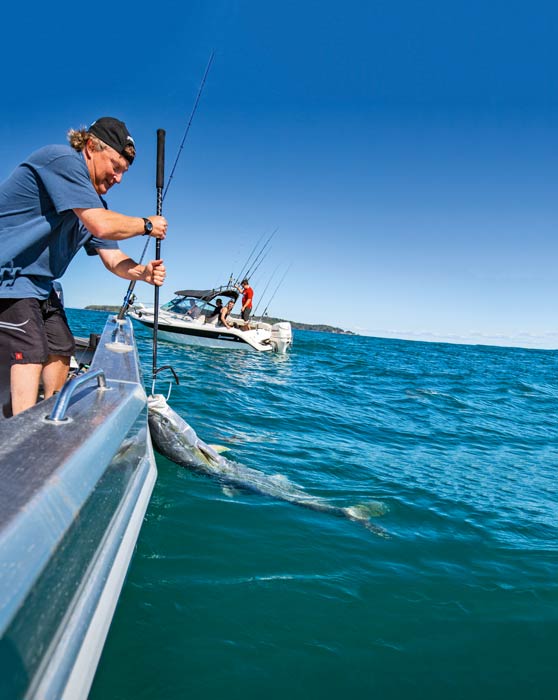 Netting or gaffing your catch (Part 2) - The Fishing Website