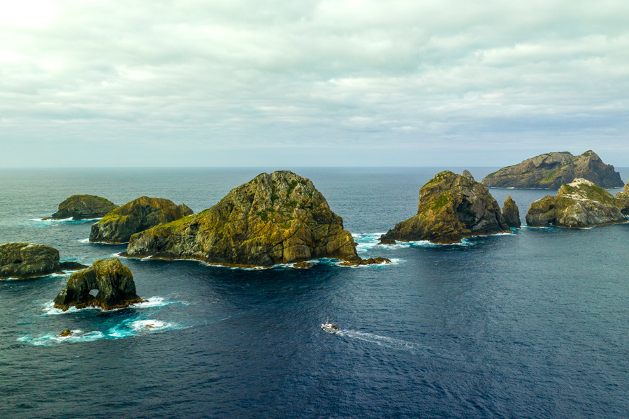 Thrills at the Three Kings - The Fishing Website