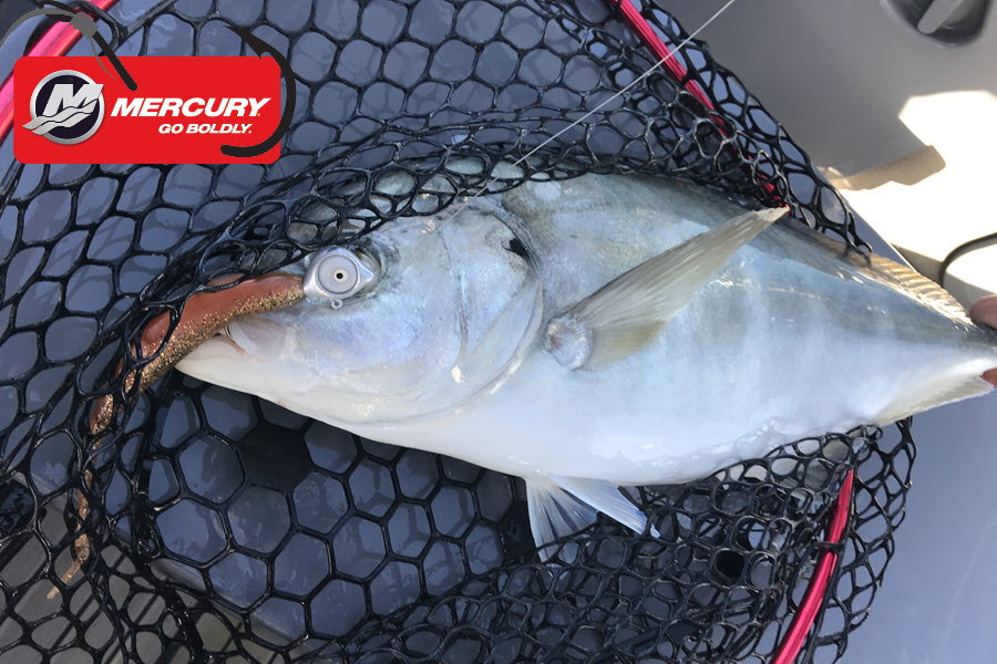 Tauranga Fishing Report - 20th May, 2022 - The Fishing Website