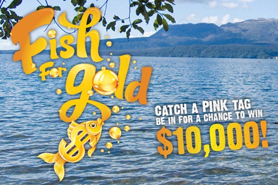 Fish for Gold is back with 2 major prizes - The Fishing Website