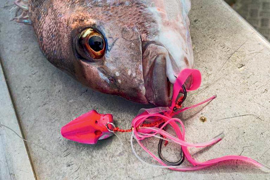 Edge Tackle Review - The Fishing Website