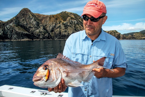 Catching Snapper on lures - The Fishing Website
