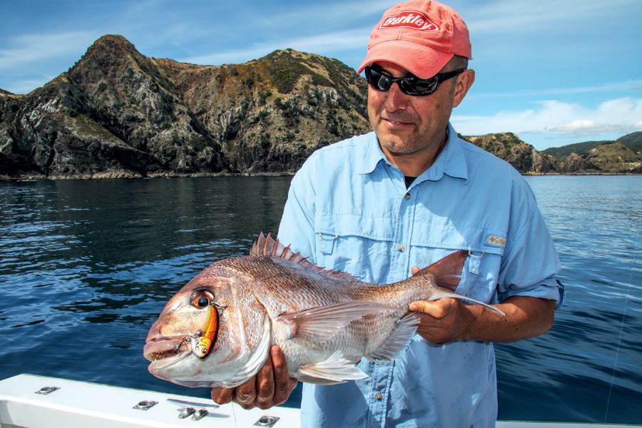 Catching Snapper on lures - The Fishing Website