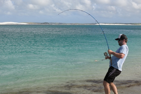 Finding good spots for surfcasting - The Fishing Website