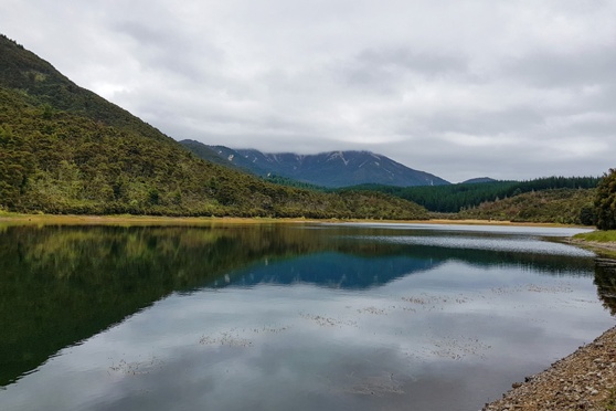 Trout - Fishing the Twin Kaweka Lakes - The Fishing Website