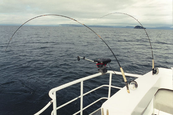 Downrigging- Tips and Tricks - The Fishing Website