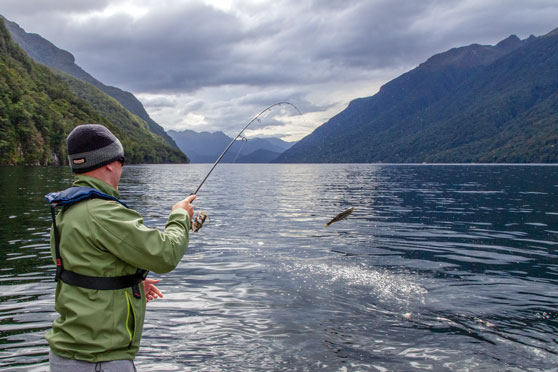 Fishing with hard body lures - The Fishing Website