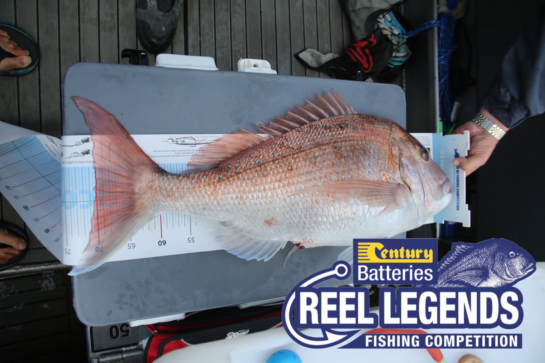 Reel Legends Contest Cancelled - The Fishing Website