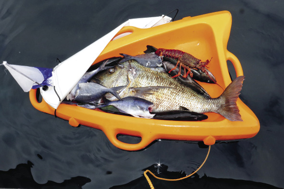 Wettie Unsinkable Float Boat - The Fishing Website