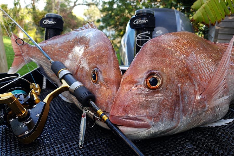 Choosing The Best Trace Weight - The Fishing Website