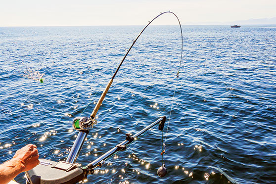 Choosing the Right Sinker - The Fishing Website