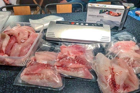 Best ways to freeze your fish - The Fishing Website