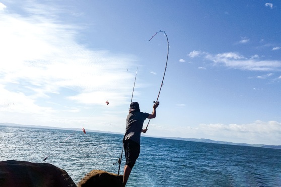 Using Shellfish for Surfcasting - The Fishing Website