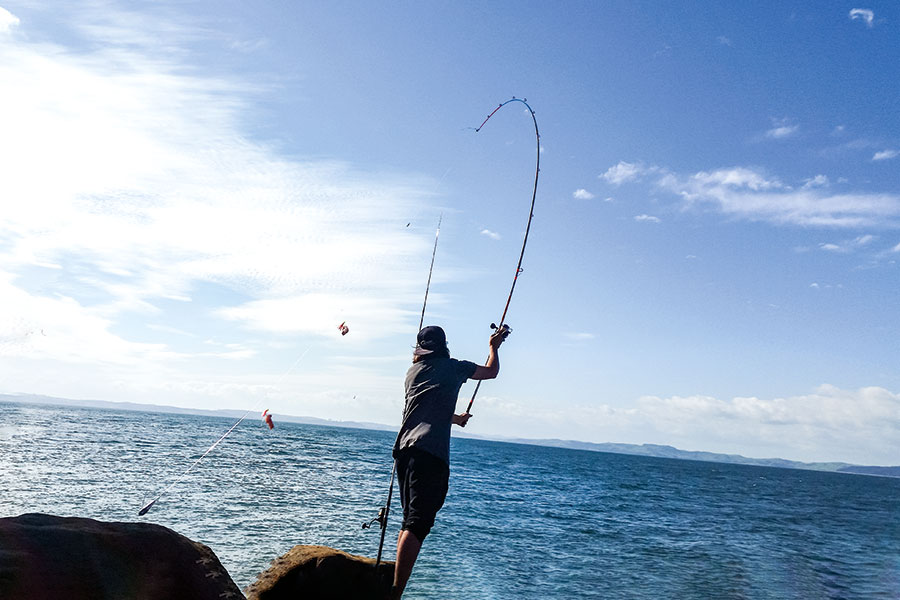 Using Shellfish for Surfcasting - The Fishing Website