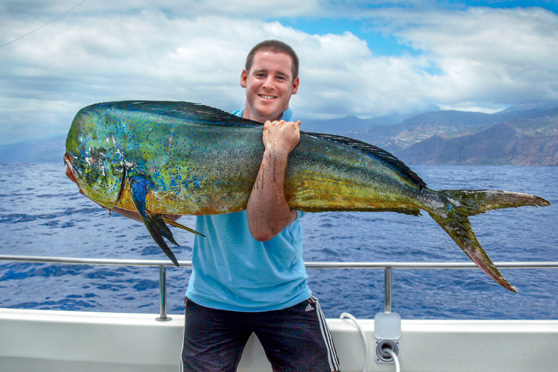 Mahimahi in New Zealand - The Fishing Website