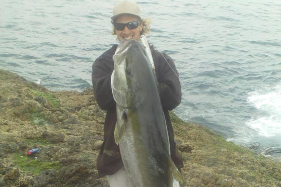 Massive effort for big kingfish - The Fishing Website