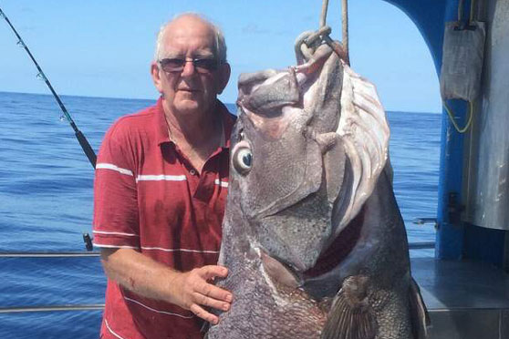 74kg Hapuku caught out from Whitianga - The Fishing Website