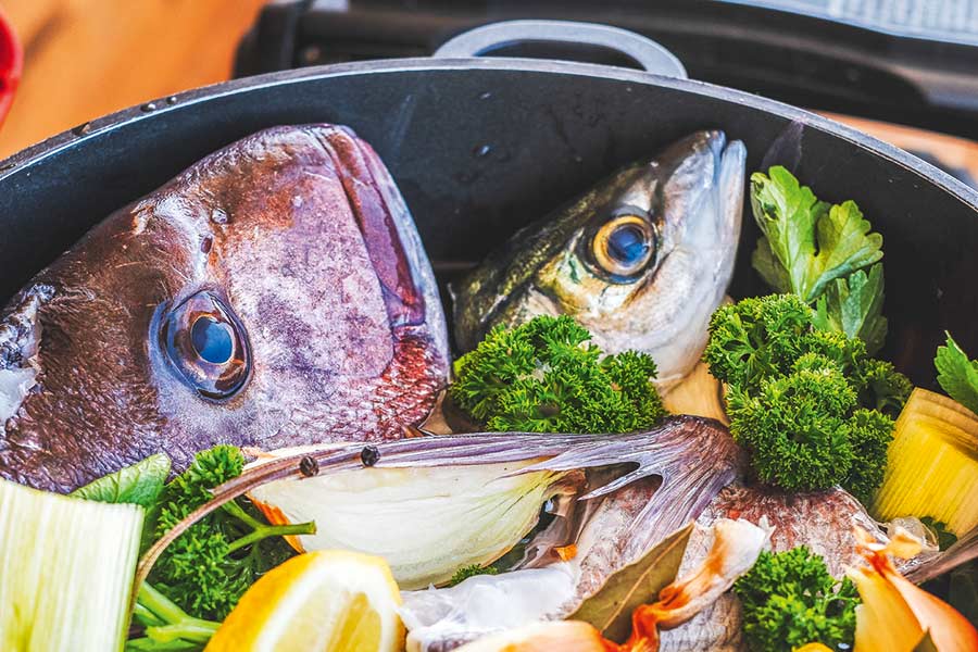 Making Fish Stock - The Fishing Website