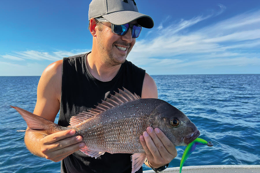 Snapper Tagging Research - The Fishing Website