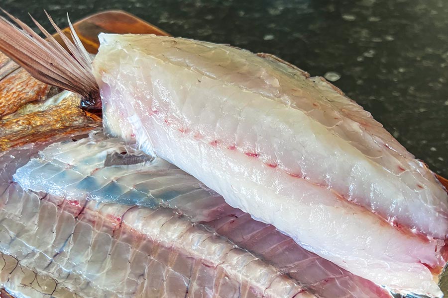 Bleeding Your Catch To Improve Eating Quality - The Fishing Website