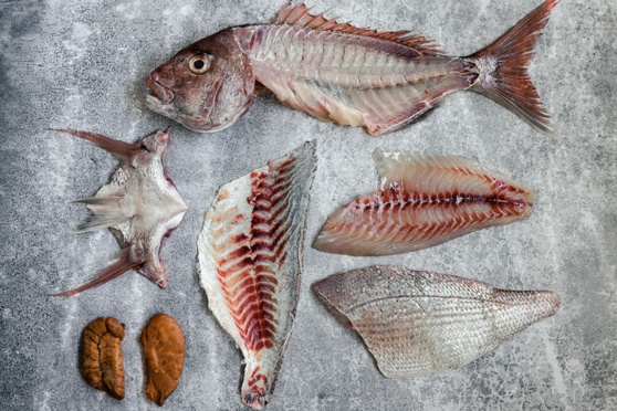 Fish Wings - The Fishing Website