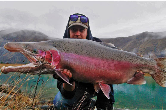 Monster trout caught in Mackenzie Country hydro canals - The Fishing ...