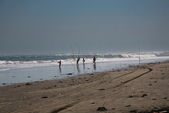 How To Fish with Dropper Rigs - The Fishing Website