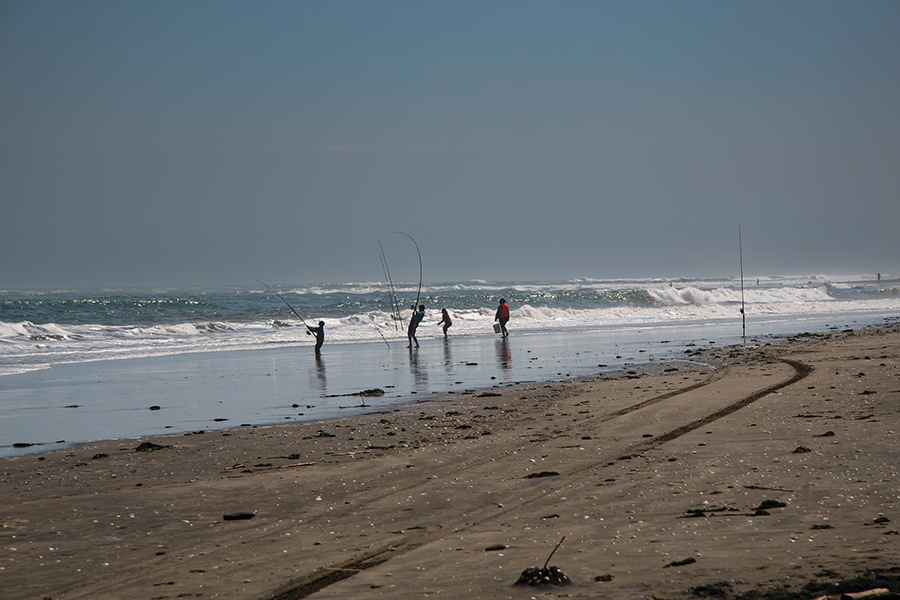 How To Fish with Dropper Rigs - The Fishing Website