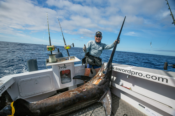 Broadbill Swordfish - The Fishing Website