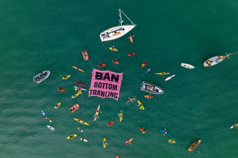 Bottom Trawling Ban called for at Gulf Protest - The Fishing Website