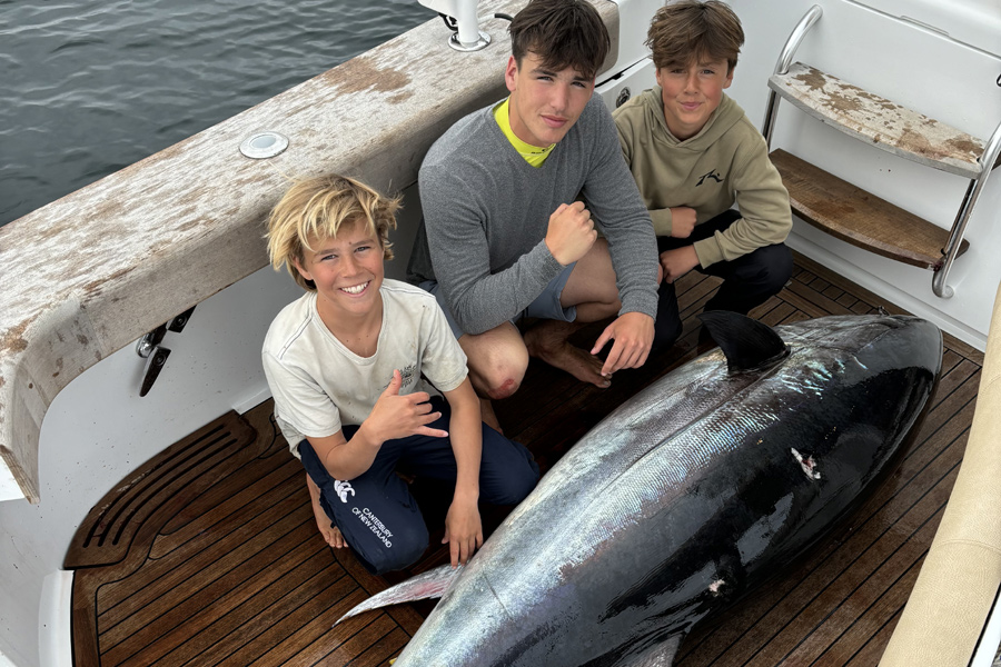 Bay of Islands Northern Pacific Bluefin Captures - The Fishing Website