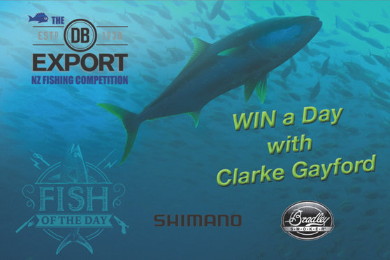 Win with the DB Export NZ Fishing Competition - The Fishing Website