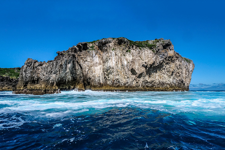 Wash Fishing With Softbaits - The Fishing Website