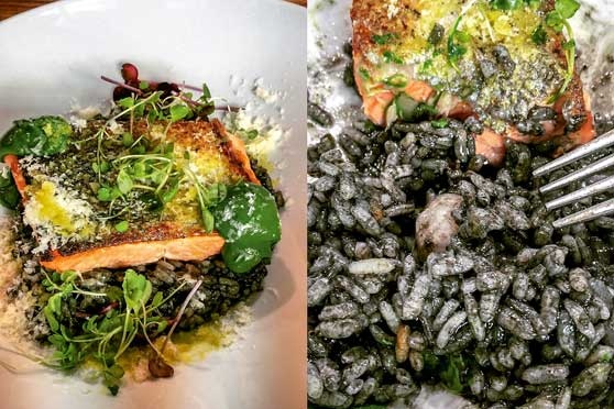 Squid Ink Risotto - The Fishing Website