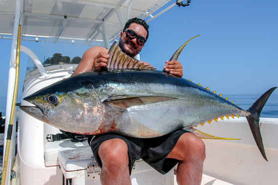 Rigging up for top water fishing - The Fishing Website