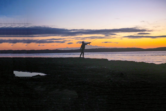 Shallow water fishing - The Fishing Website